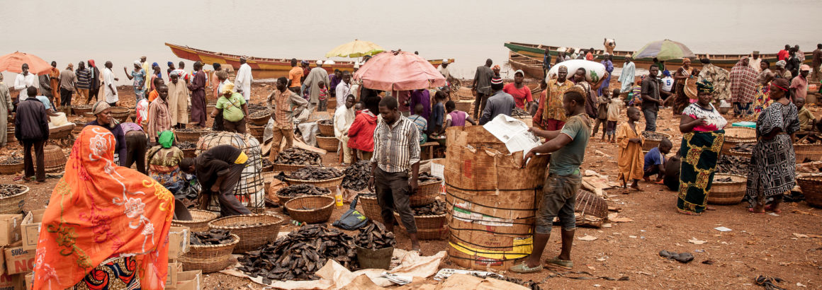 Happy Birthday SANTD! – SANTD